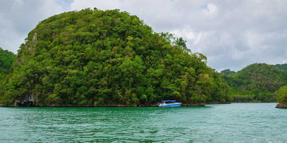 Discover This Natural Gem: Los Haitises National Park
